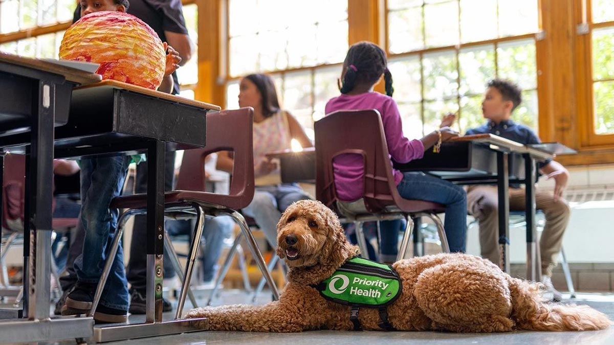 Creative new ways to enhance children’s mental health | West Linn Tidings